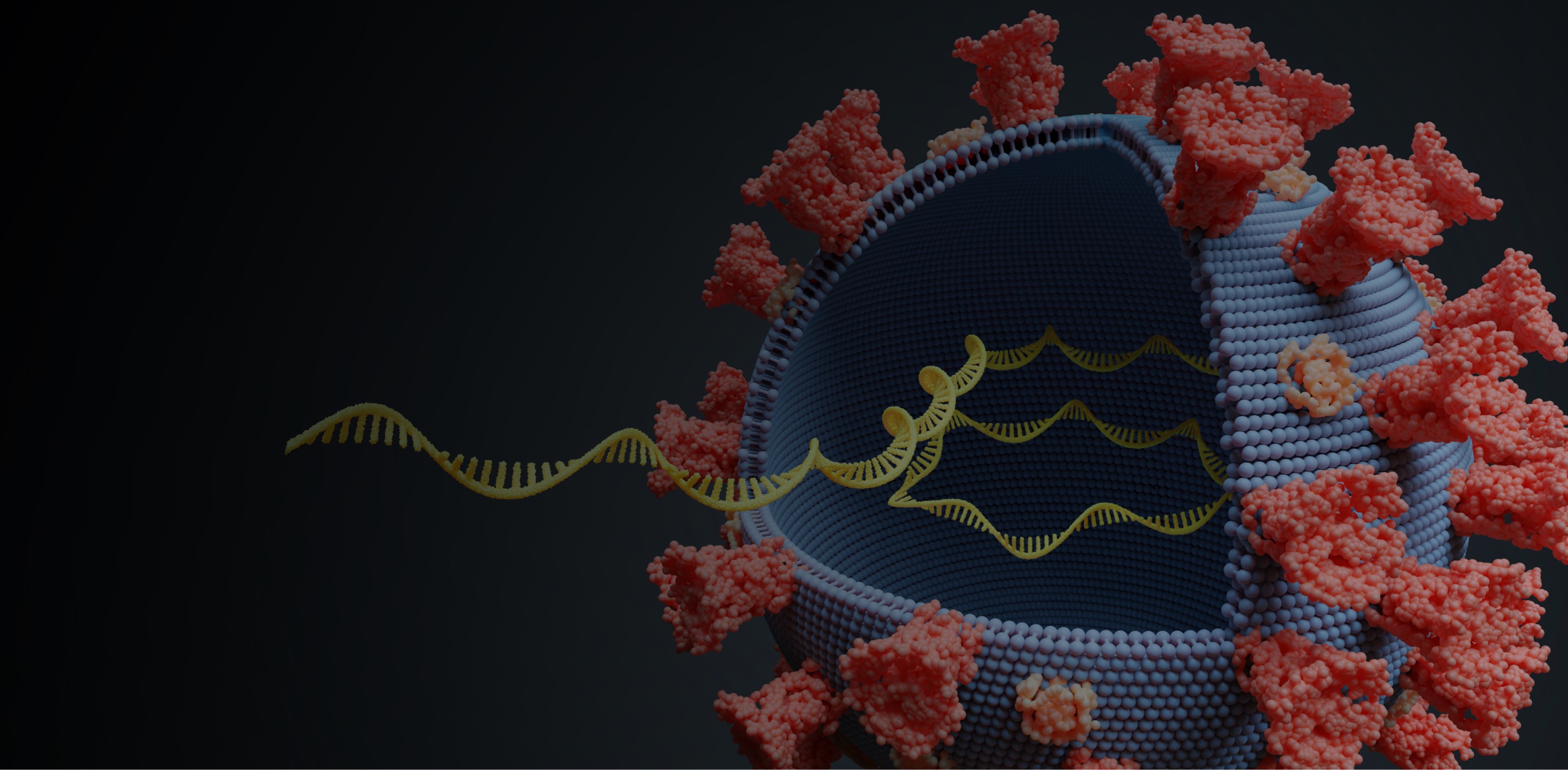 Company - Filtration Solutions | GVS