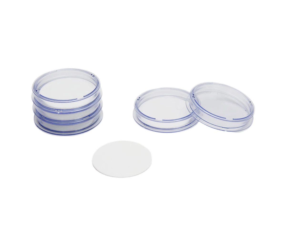 Sterile Petri Dish with Absorbent Pad | GVS